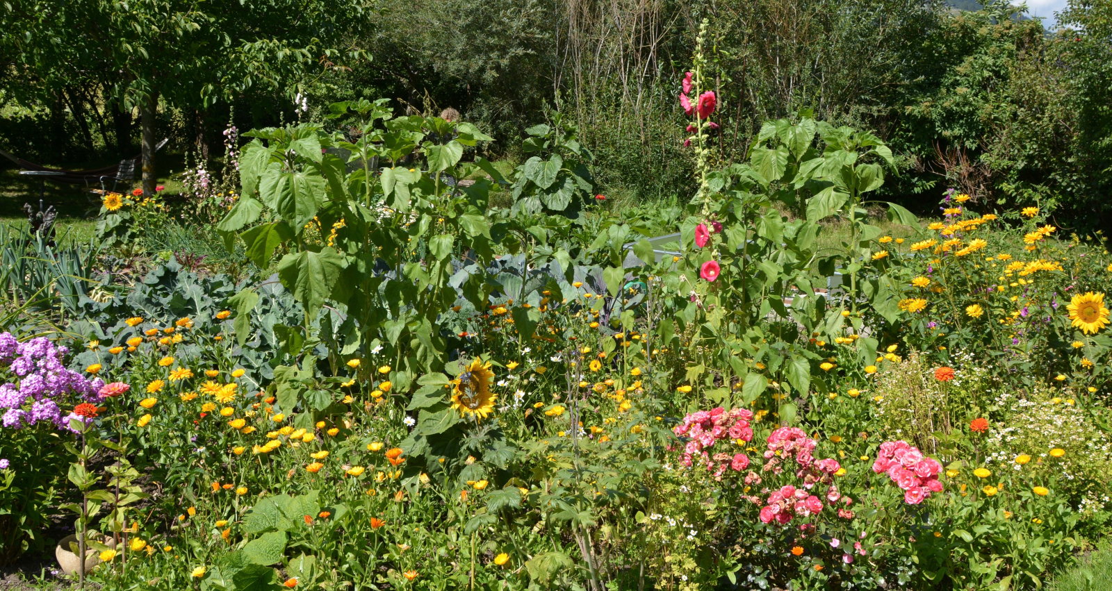 Ecological garden design | Binntal Landscape Park - Regional Nature ...