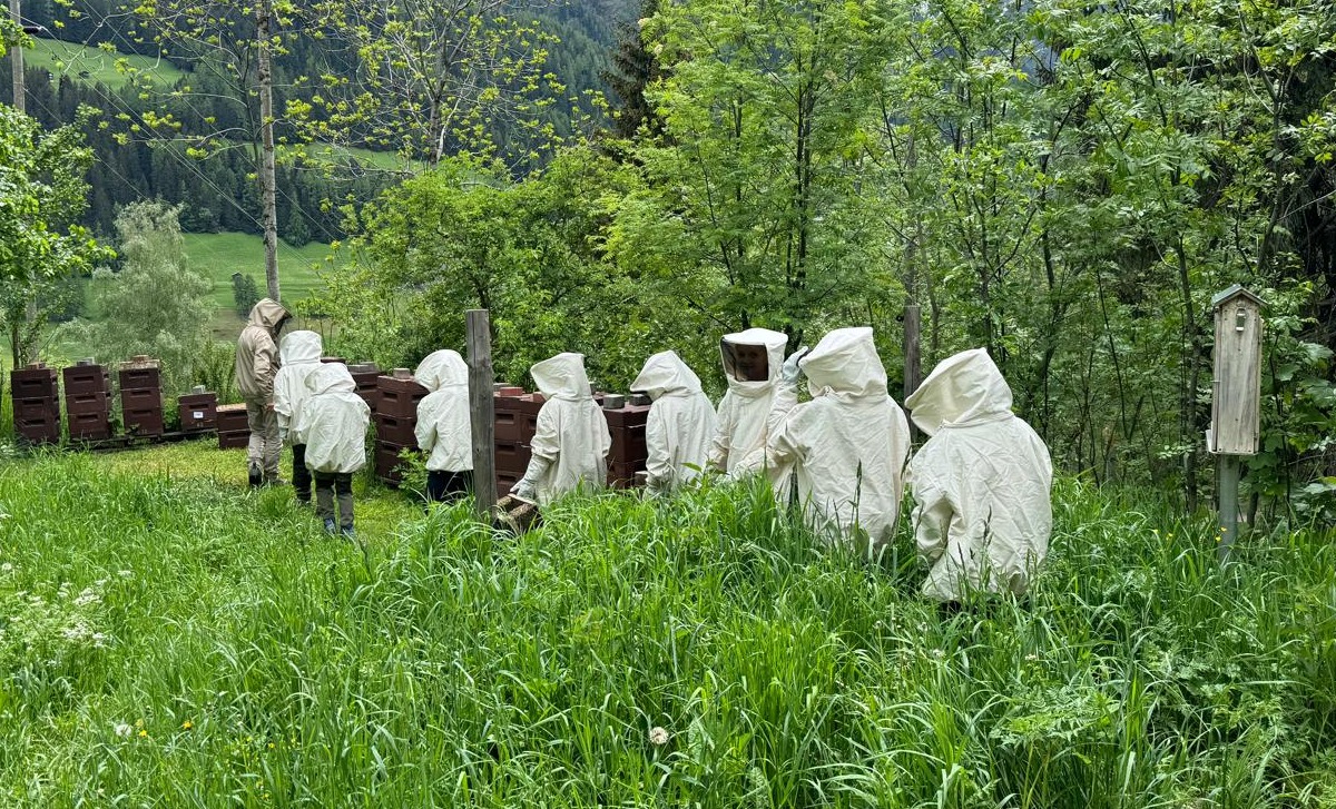 Schulklassen | Landschaftspark Binntal - Regionaler Naturpark von ...